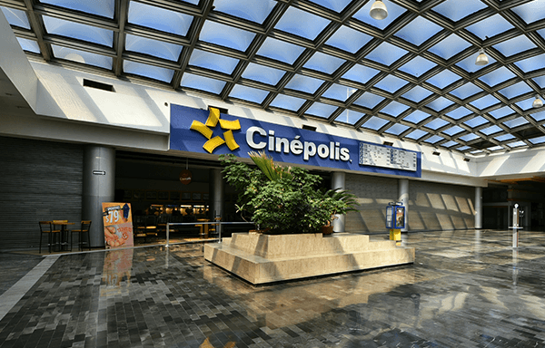 Citelis | Life Center | Escala Celaya